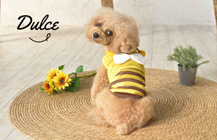 等々力ドッグフェスティバル – Todoroki Dog Festival