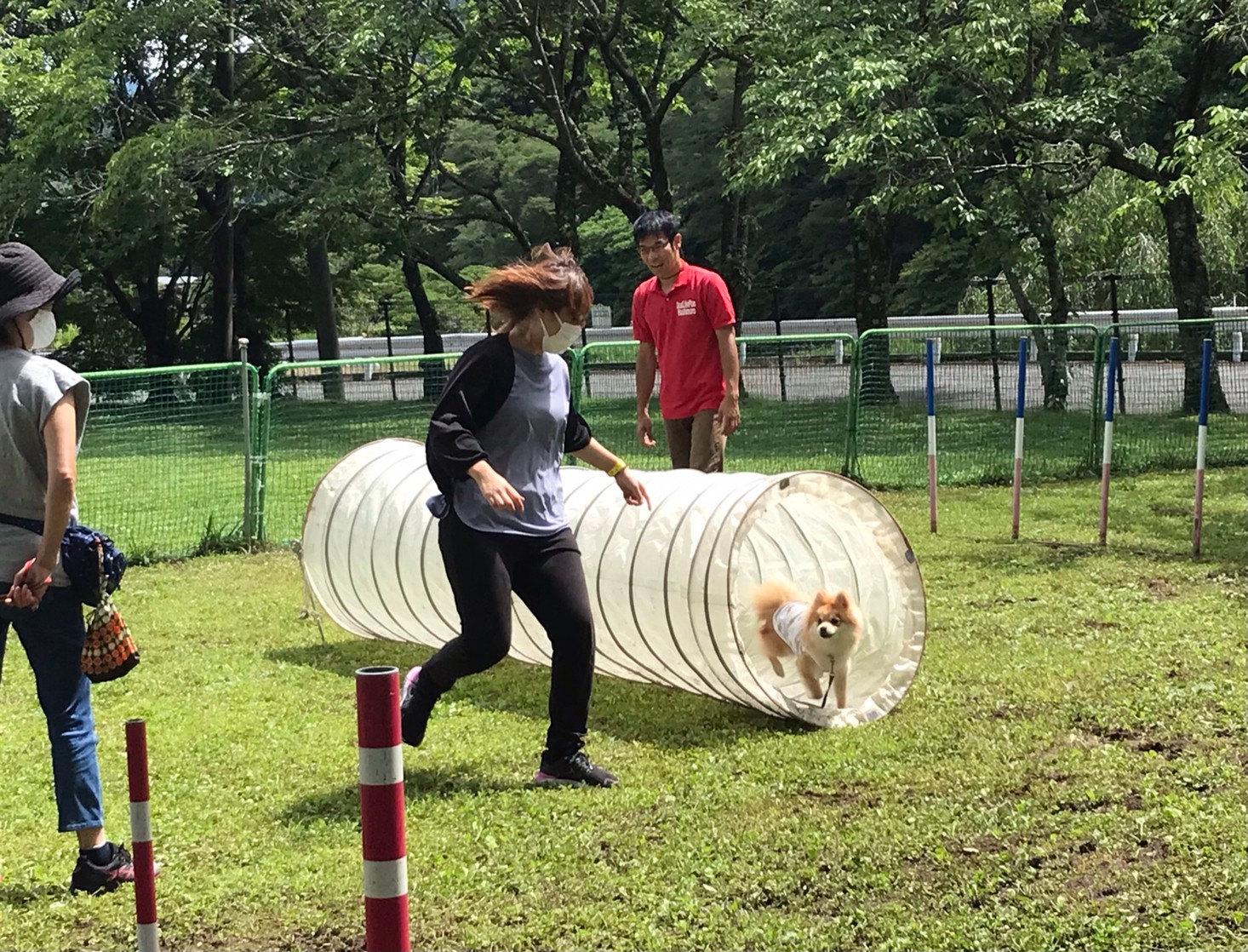 等々力ドッグフェスティバル – Todoroki Dog Festival