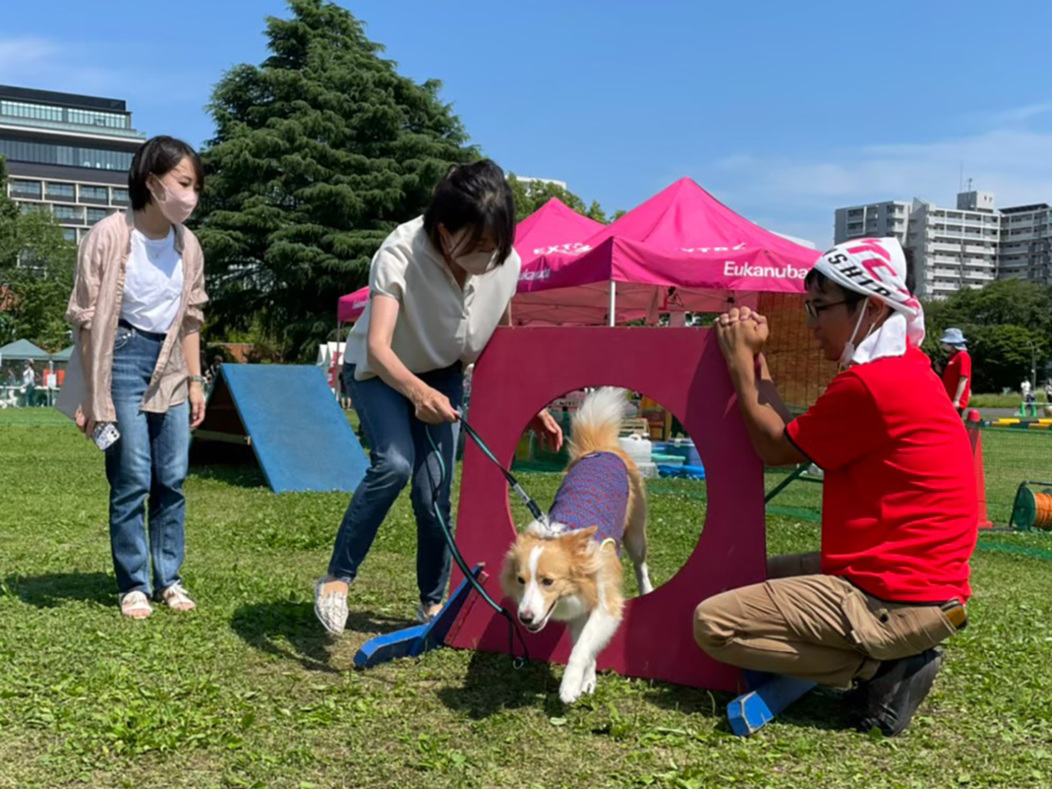 等々力ドッグフェスティバル – Todoroki Dog Festival