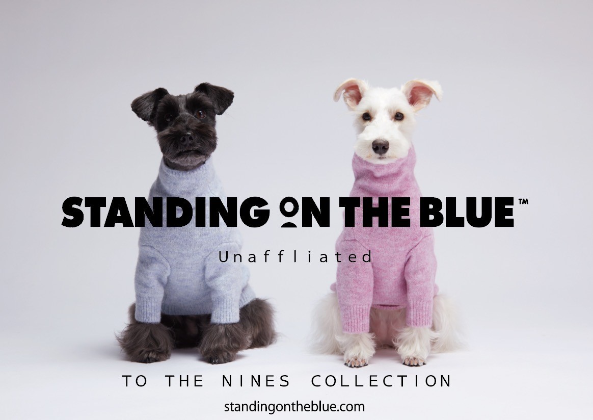 等々力ドッグフェスティバル – Todoroki Dog Festival