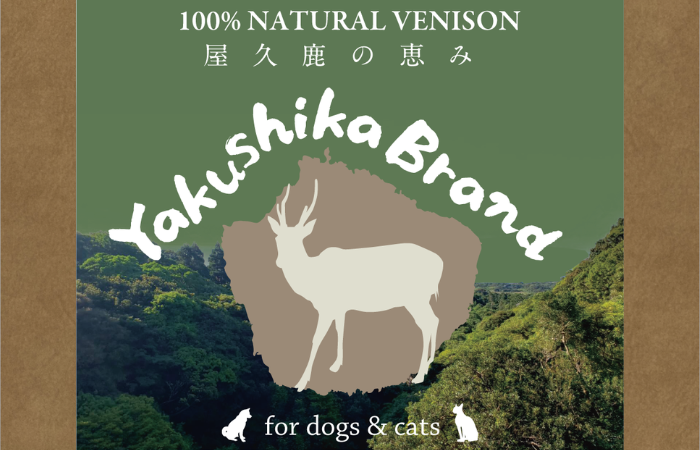 等々力ドッグフェスティバル – Todoroki Dog Festival