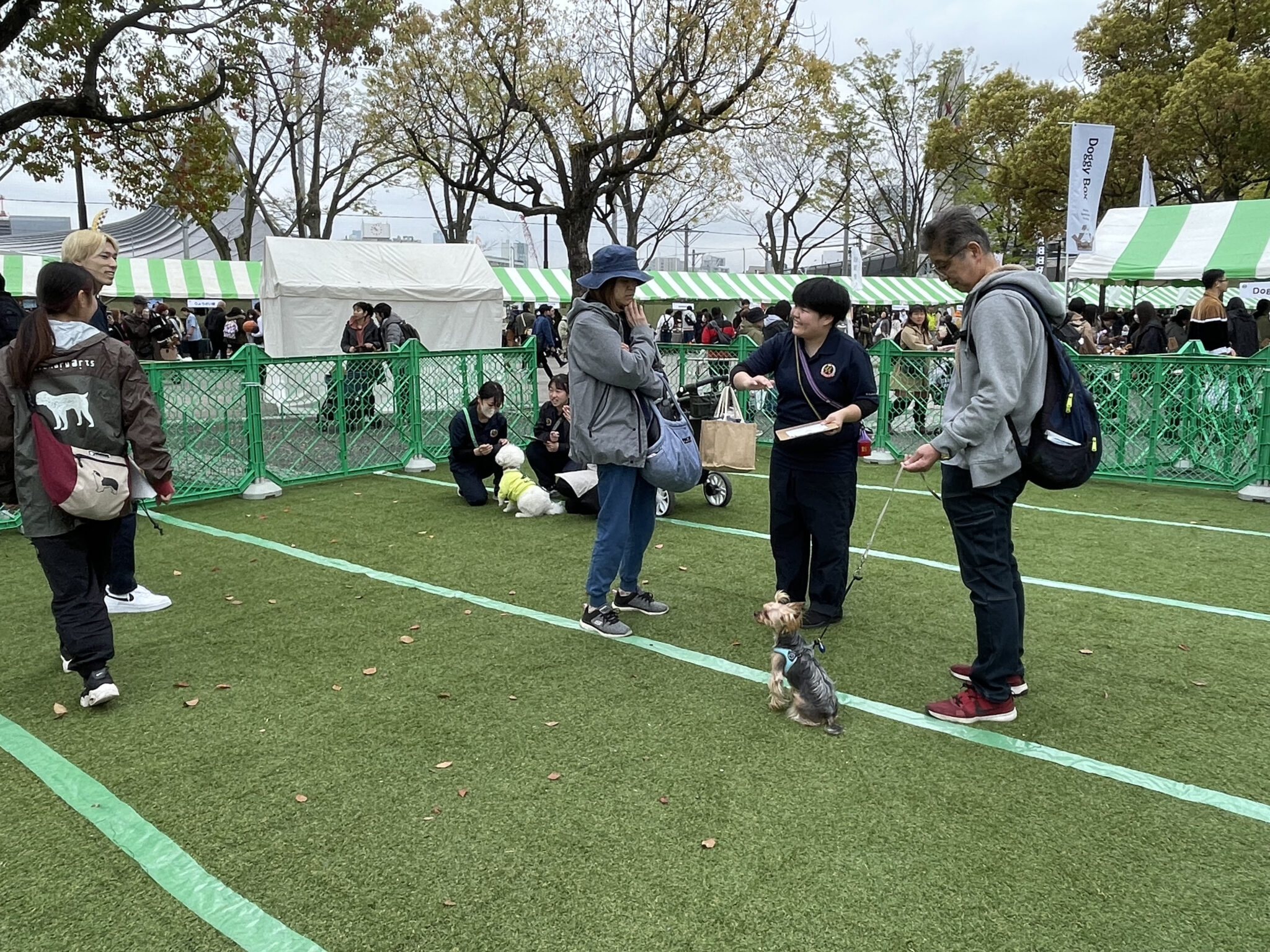 等々力ドッグフェスティバル – Todoroki Dog Festival
