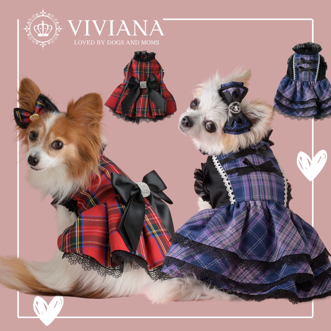 等々力ドッグフェスティバル – Todoroki Dog Festival